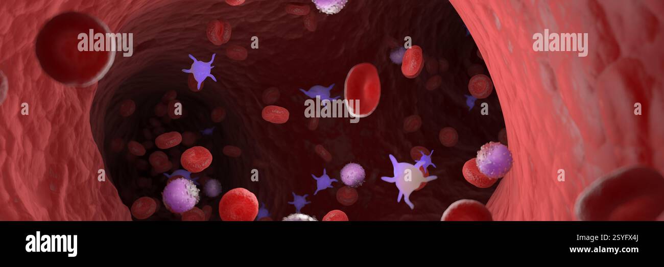 Circulating blood cells, illustration Stock Photo - Alamy