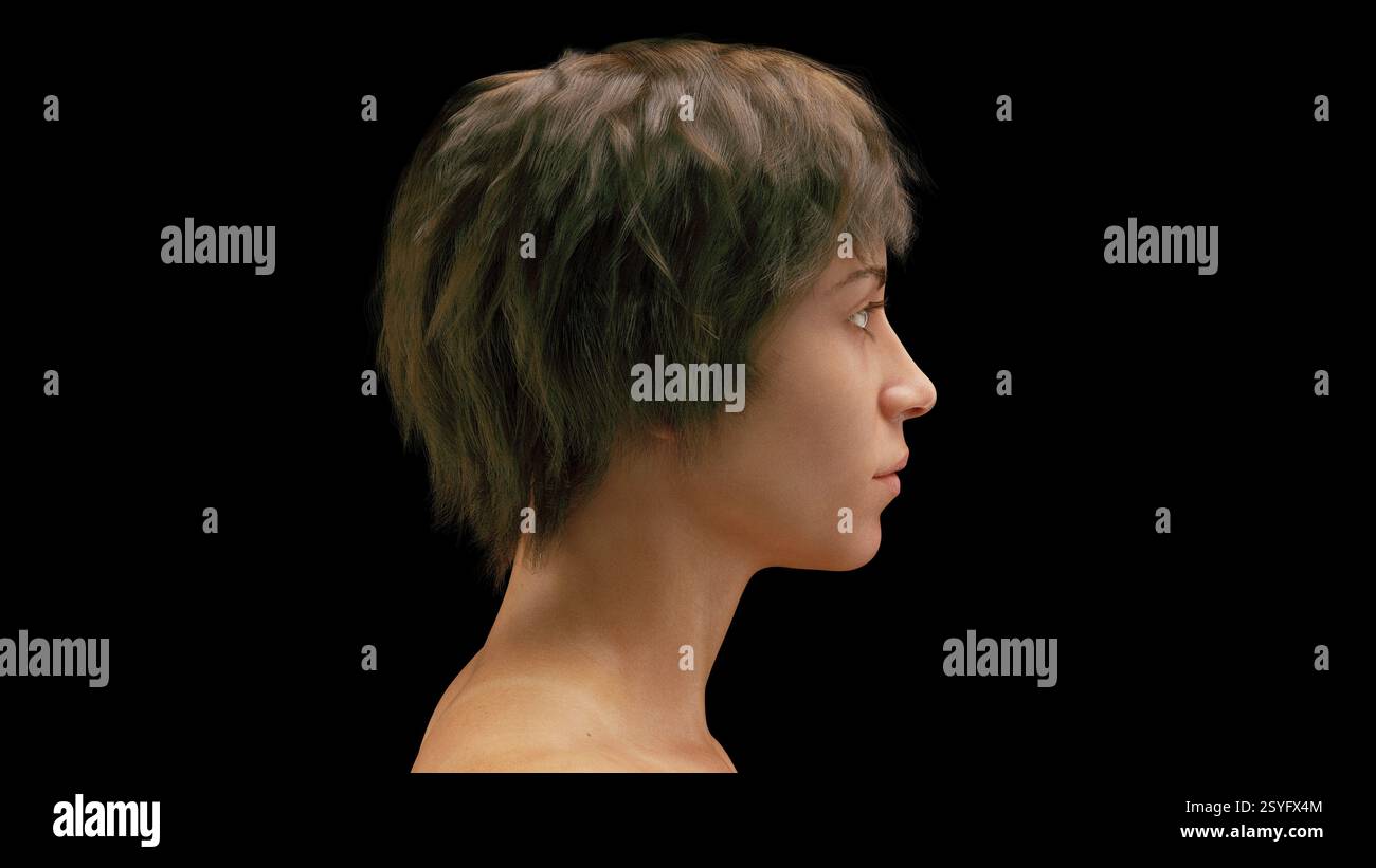 Female head, illustration Stock Photo - Alamy