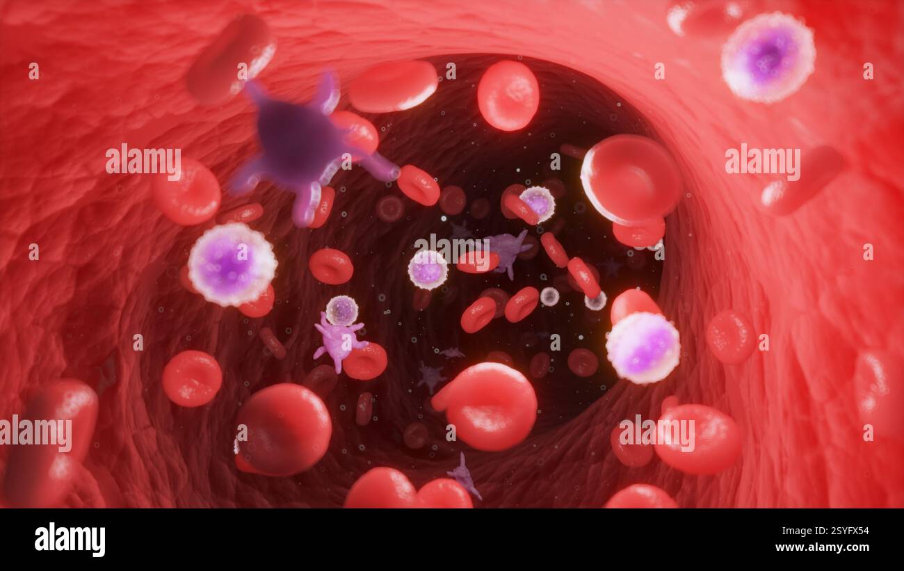 Circulating blood cells, illustration Stock Photo - Alamy