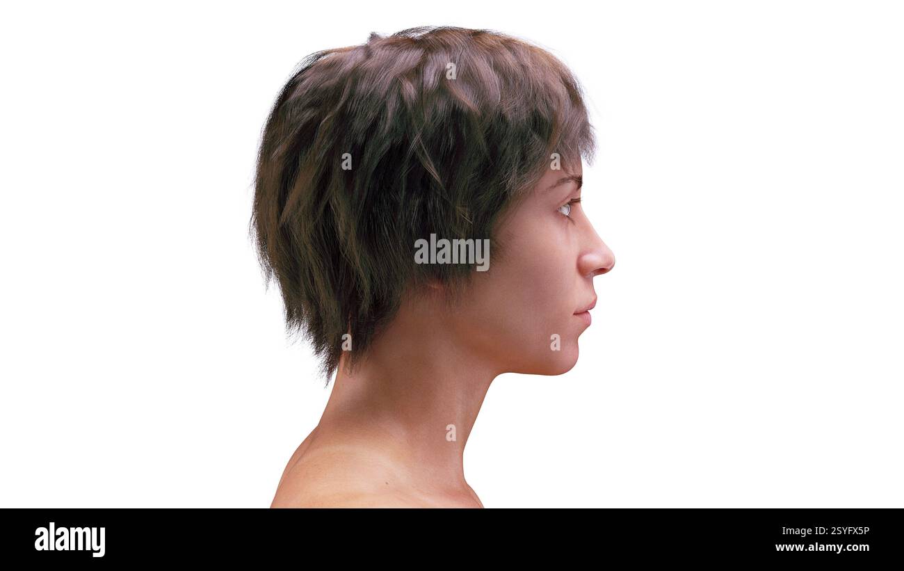 Female head and neck anatomy, illustration Stock Photo - Alamy