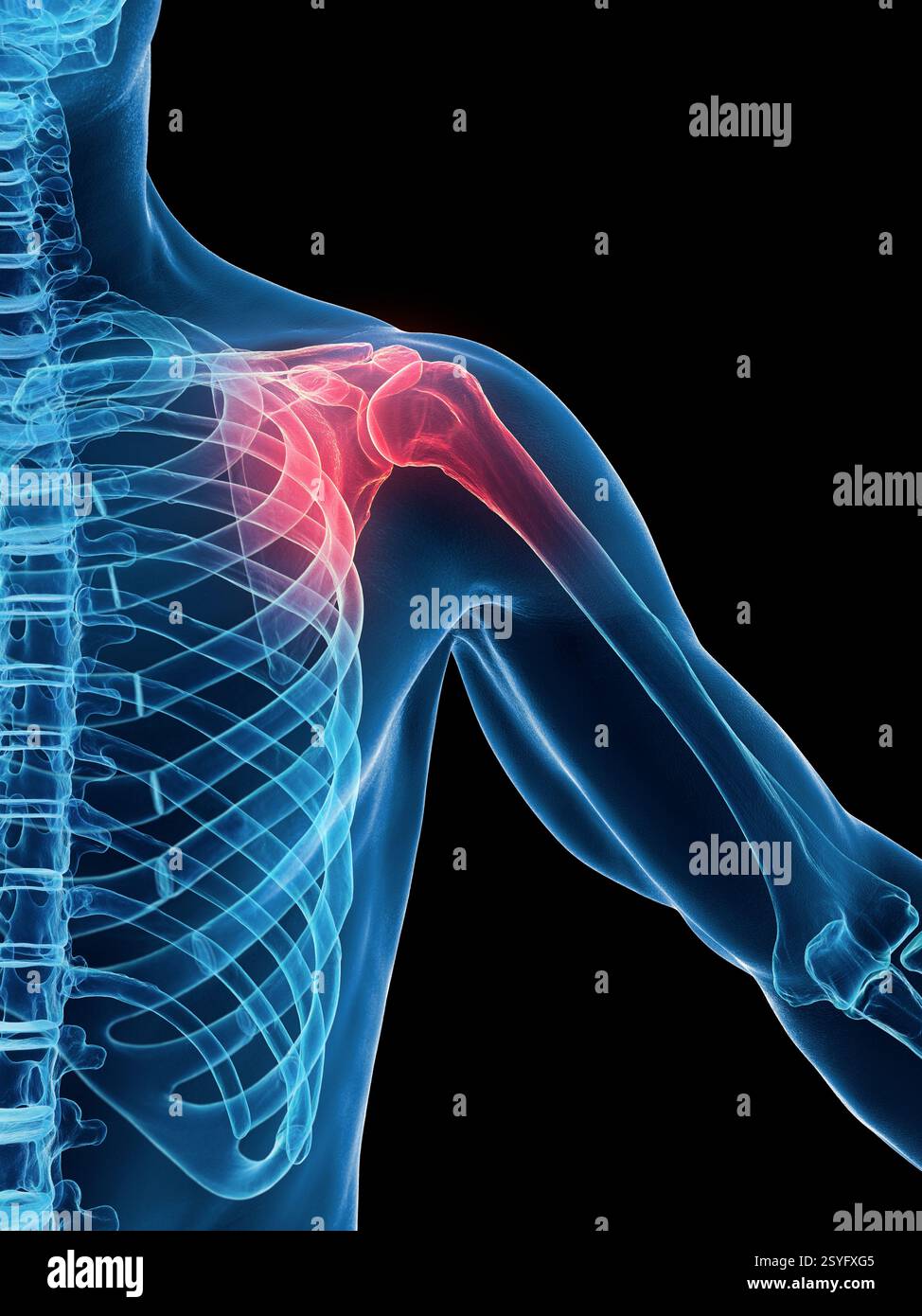 Male shoulder, illustration Stock Photo - Alamy