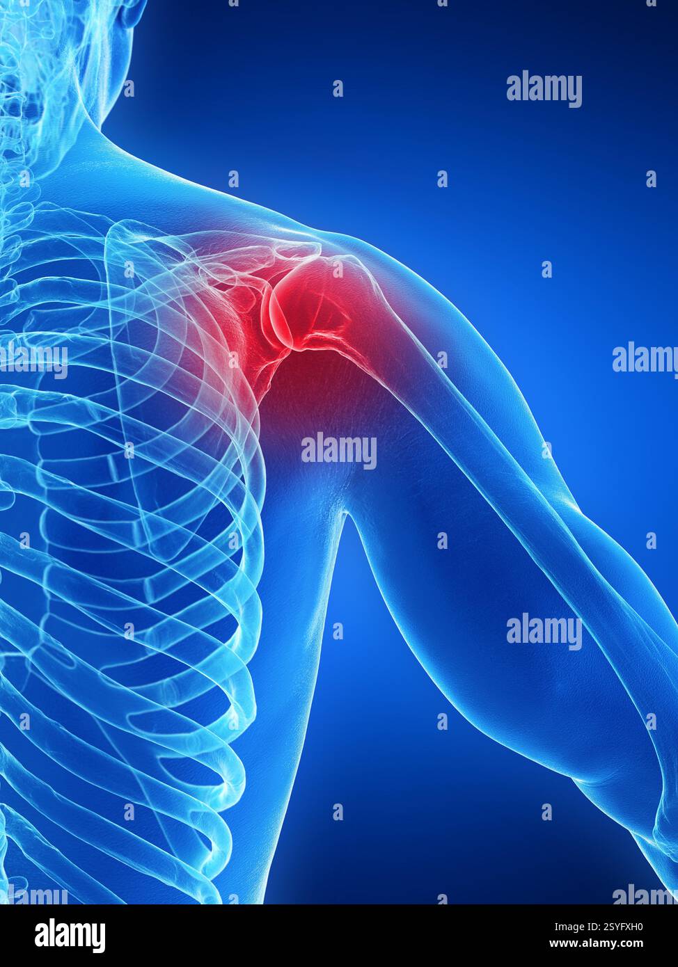 Male shoulder joint, illustration Stock Photo - Alamy