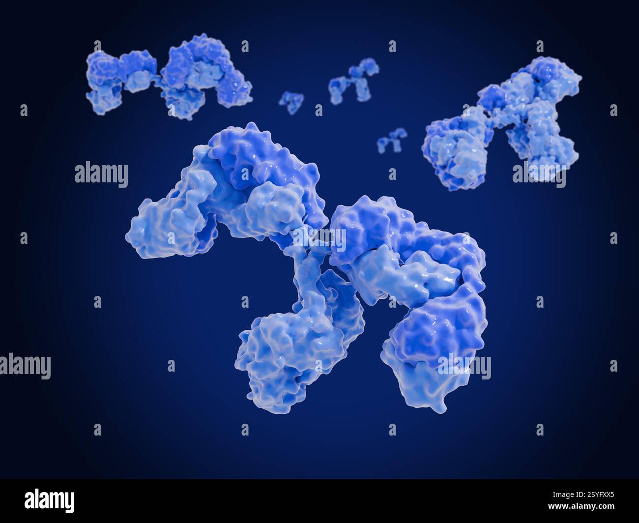 Illustration of dual variable domain antibodies, a type of bispecific ...