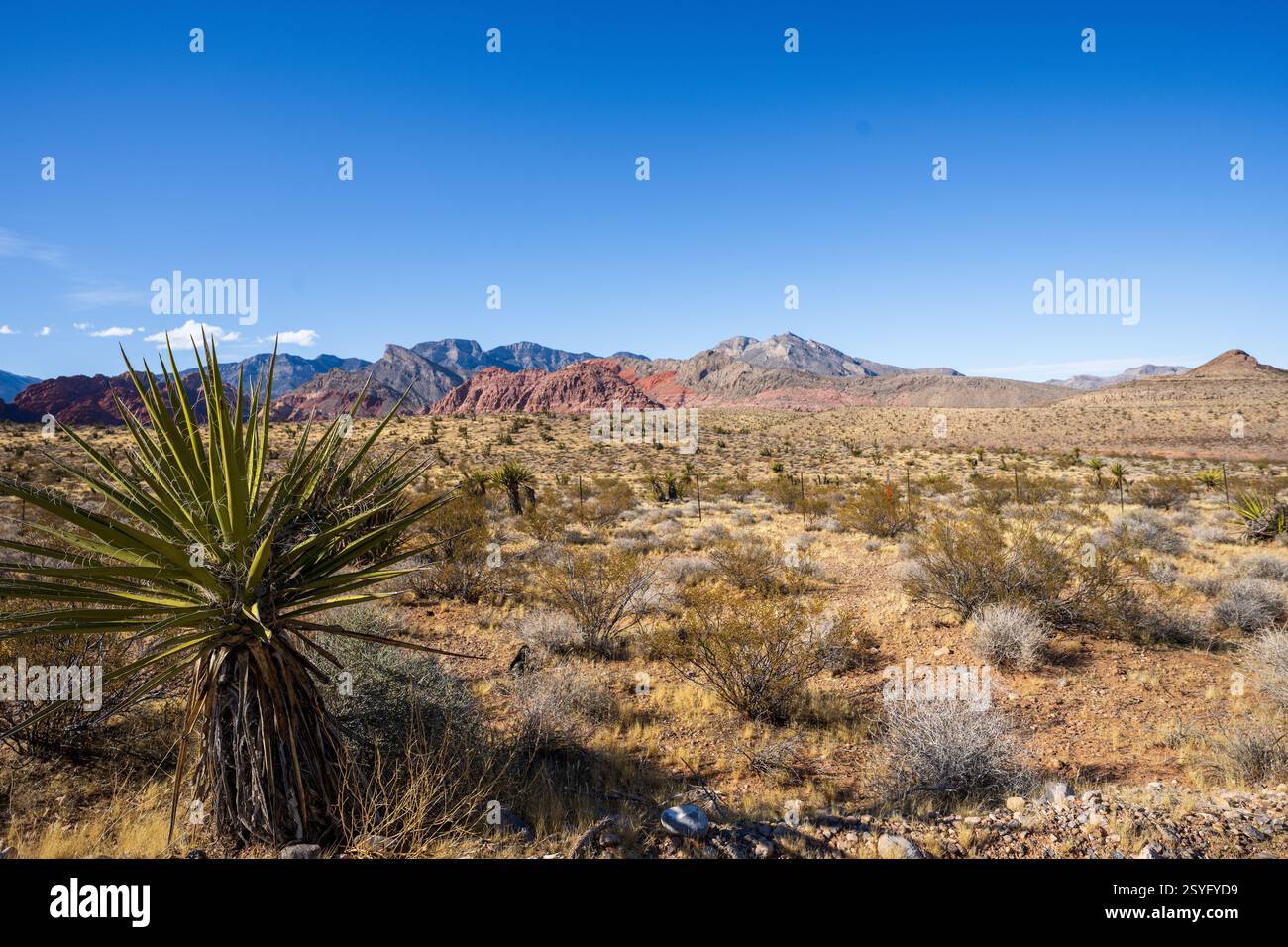 Red Rock Canyon National Conservation Area in Nevada, USA Stock Photo ...