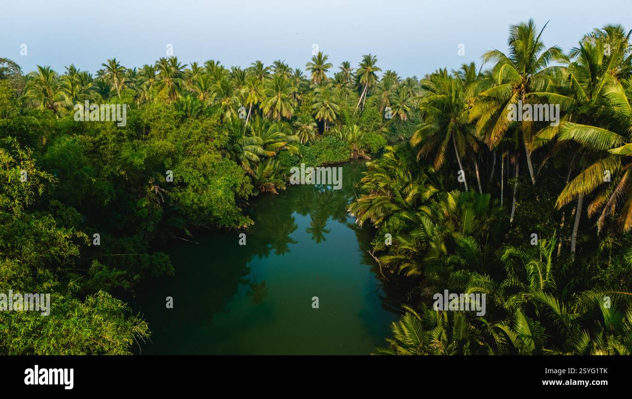 Surrounded by rich palm trees and dense foliage, a tranquil river flows ...