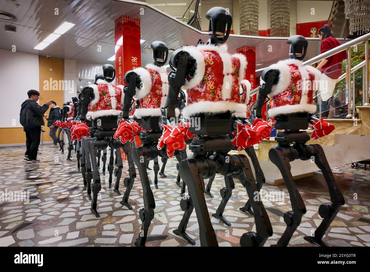(250301) -- BEIJING, March 1, 2025 (Xinhua) -- Humanoid robots from Chinese company Unitree ...