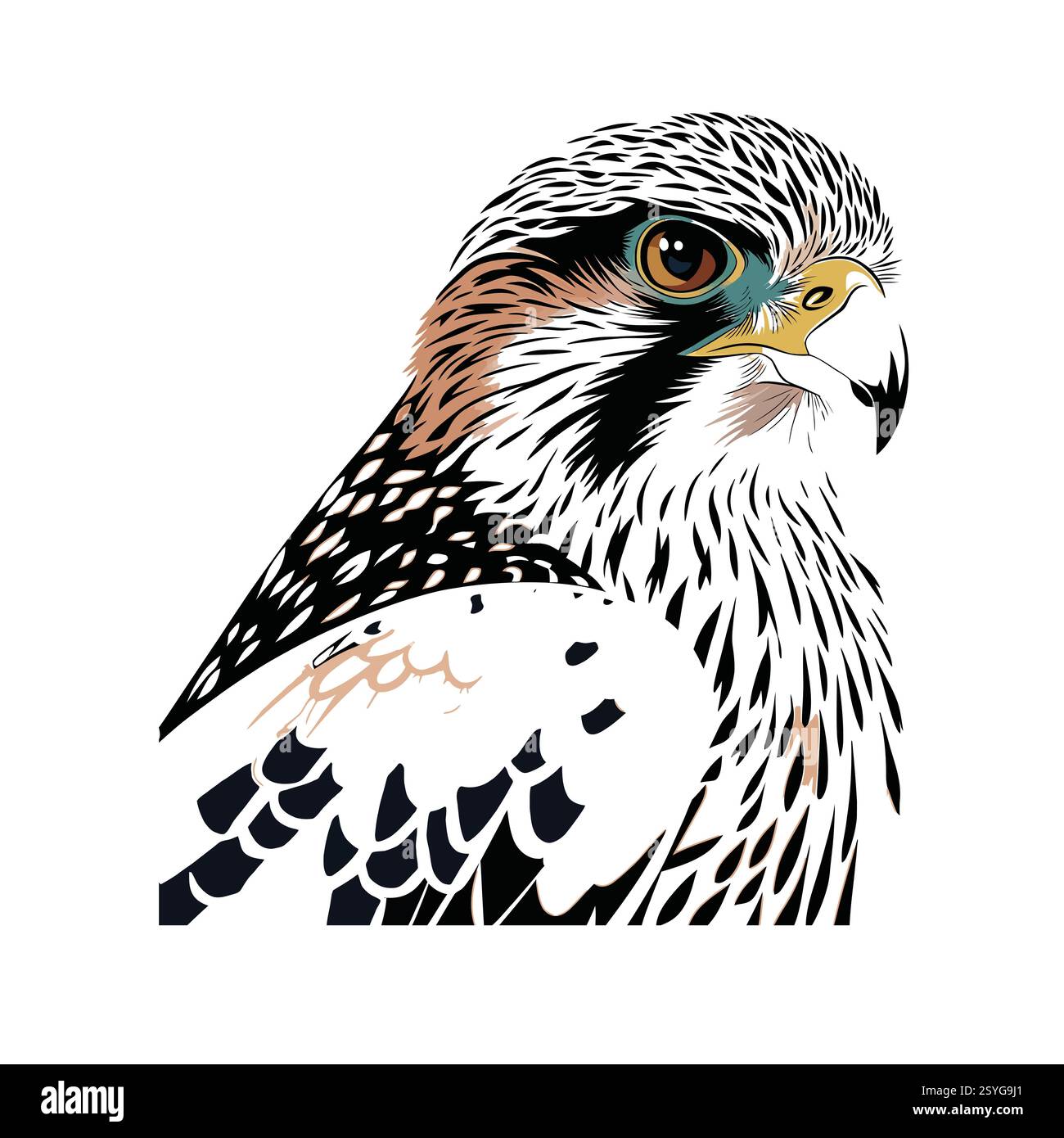 Falcon head vector art, isolated in white background, simple vector ...