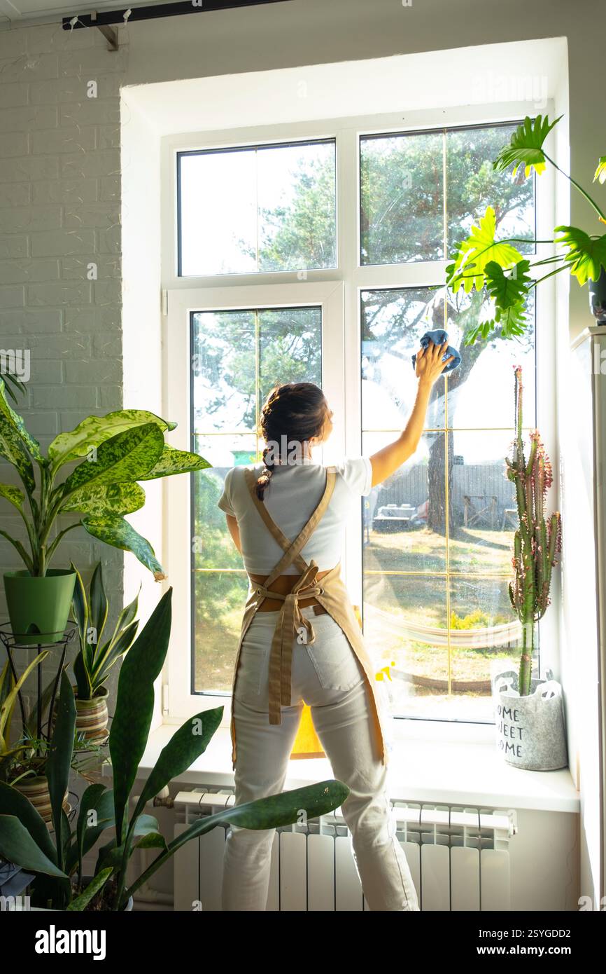 Woman in apron manually washes the window of house with rag cleaner and mop inside the interior ...