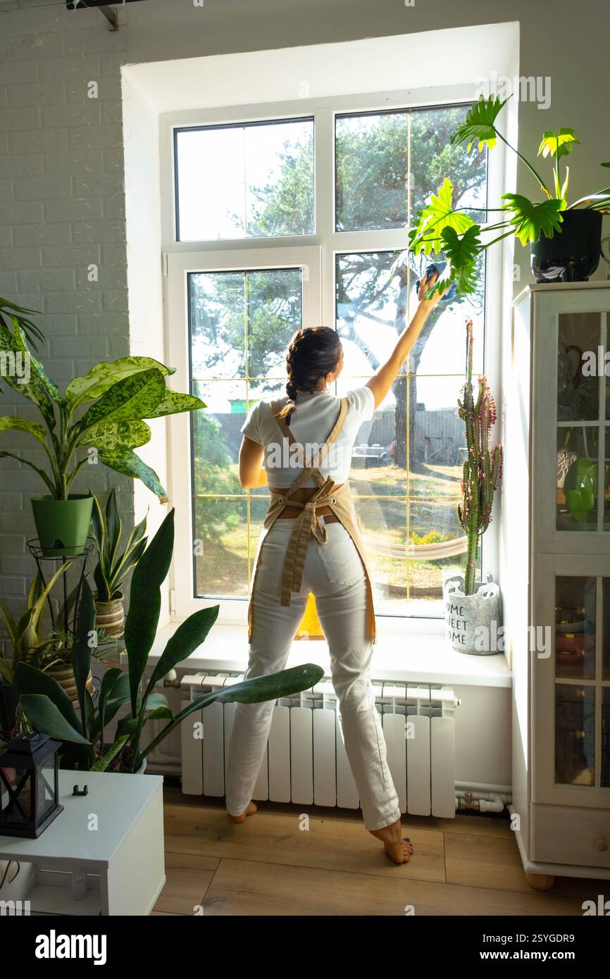 Woman in apron manually washes the window of house with rag cleaner and mop inside the interior ...