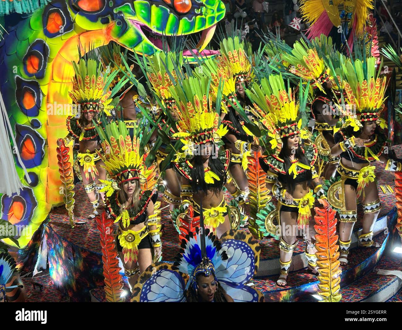 Rio De Janeiro, Brazil. 01st Mar, 2025. The "Estacio de Sa" samba ...