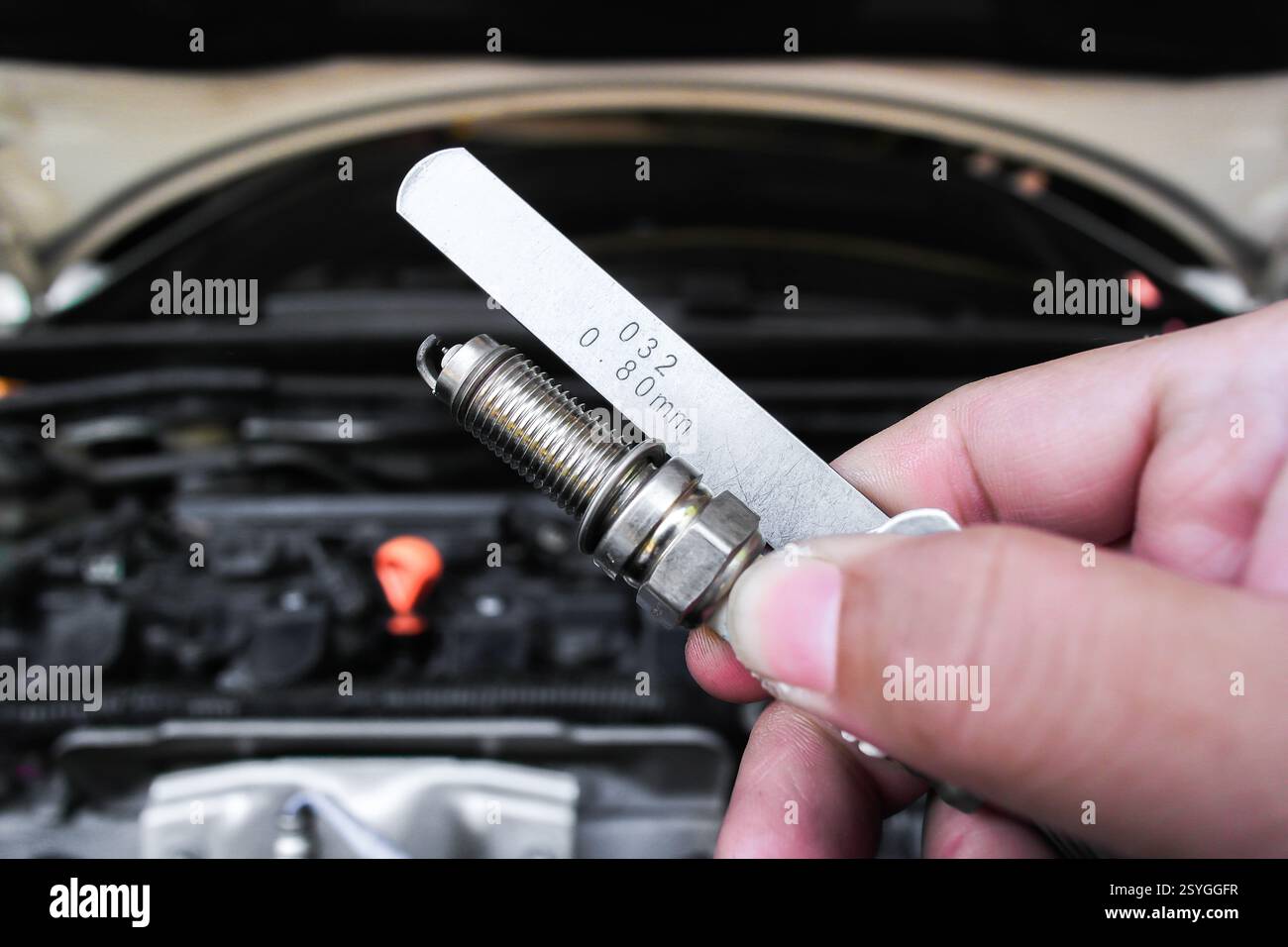 Close up of spark plug and feeler gauge or thickness gauge in auto mechanic hand , Use your ...