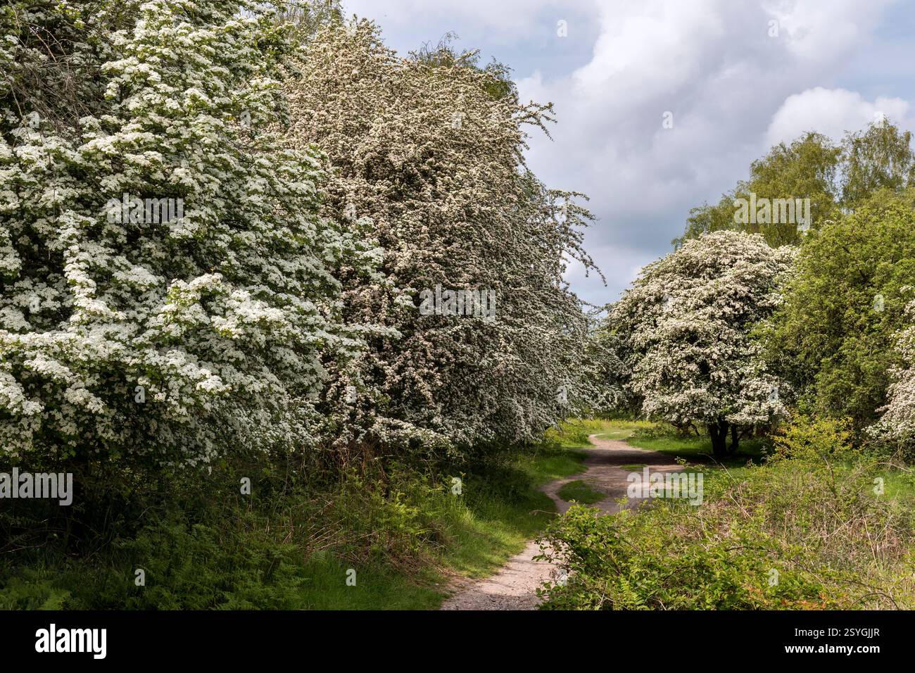 Chase corner hi-res stock photography and images - Alamy