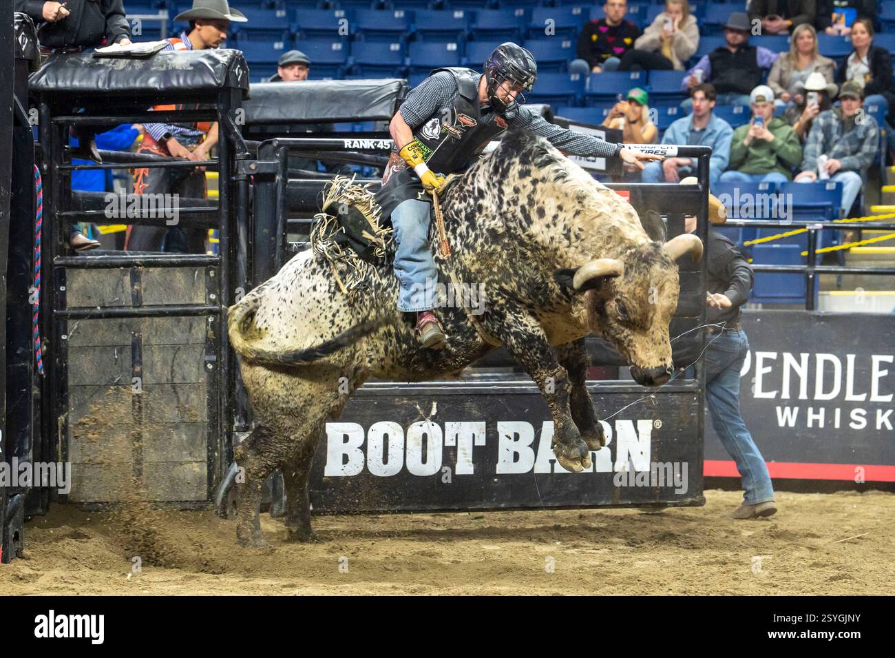 BRIDGEPORT, CONNECTICUT - FEBRUARY 28: João Paulo Fernandes rides Sig ...