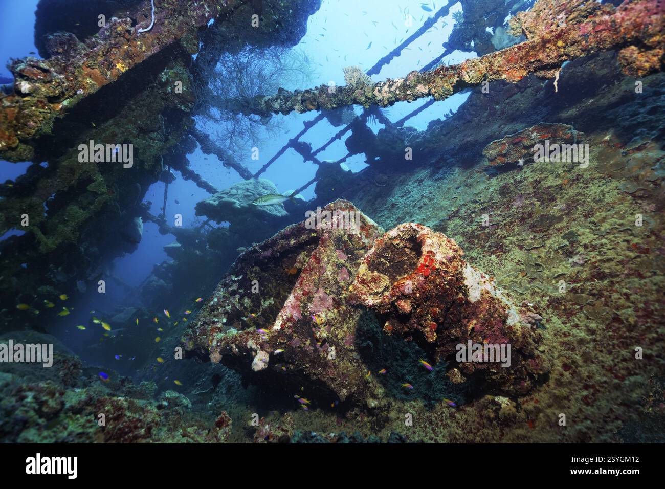 Ship superstructure, hatch, deck, railing, British Loyalty, wreck ...