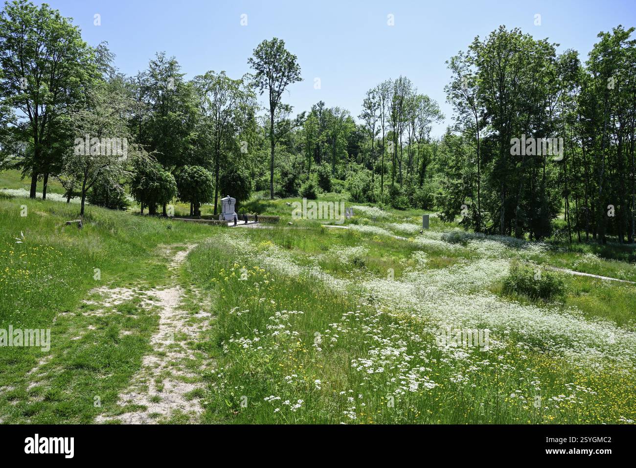 Site of the destroyed village of Fleury-devant-Douaumont, Verdun ...