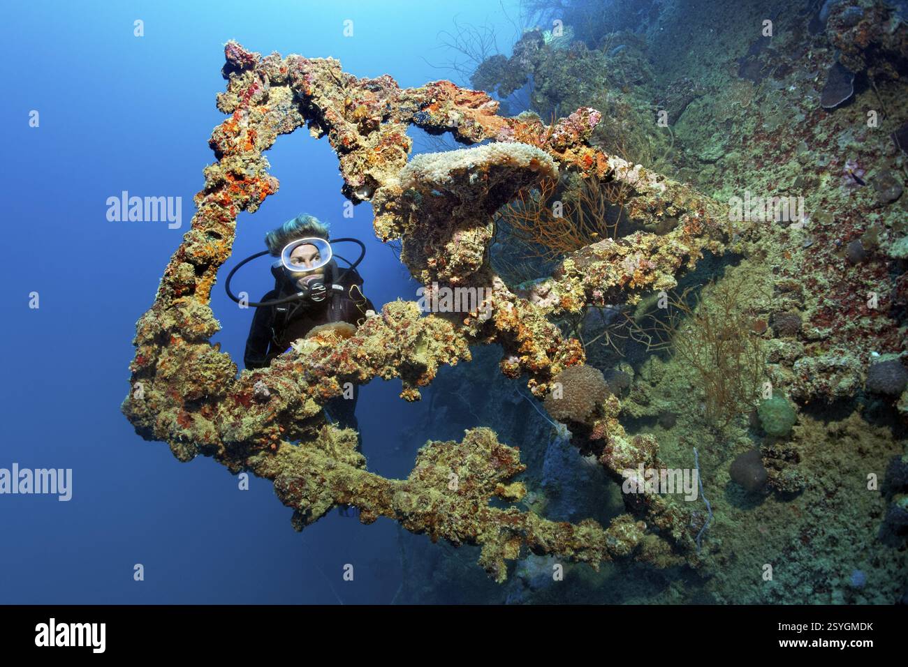 Diver looking at ship superstructure, hatch, deck, British Loyalty ...