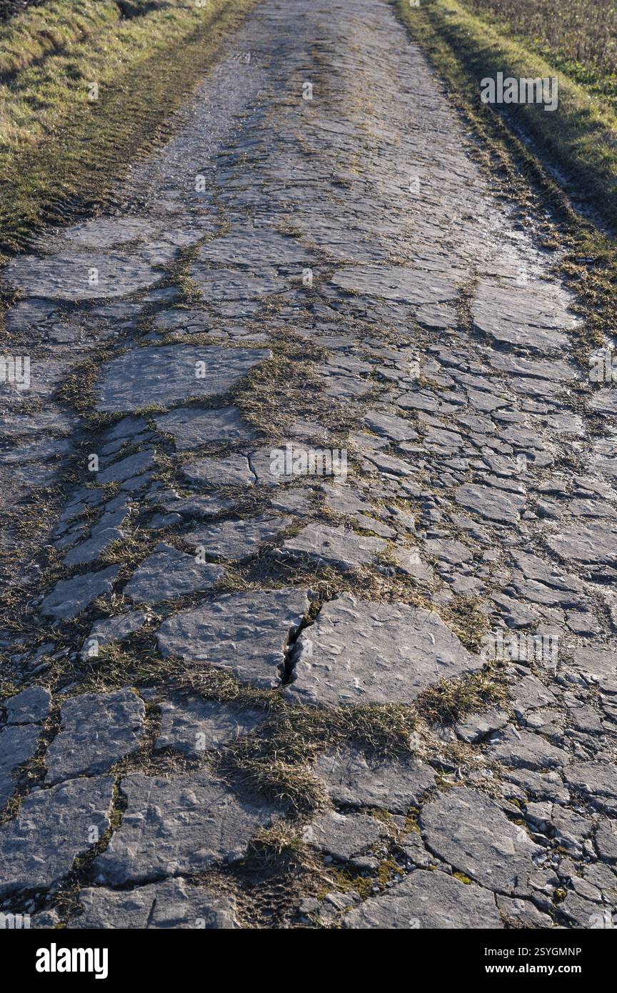 Cobbled ways roads hi-res stock photography and images - Alamy
