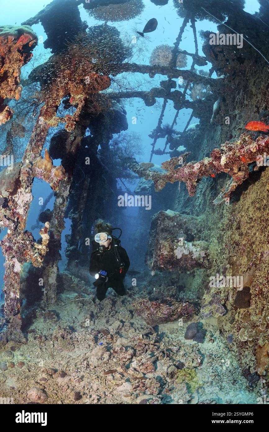 Diver explores British Loyalty, wreck, shipwreck, torpedoed on 09.03. ...