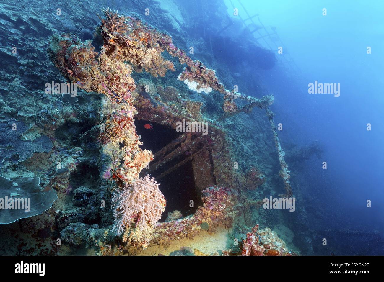 Ladelucke, deck, British Loyalty, wreck, shipwreck, torpedoed on 09.03. ...