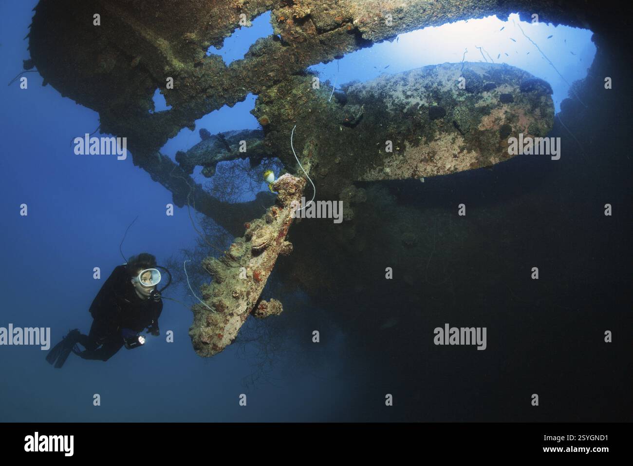 Diver looking at ship's propeller, propeller backlit by the sun ...