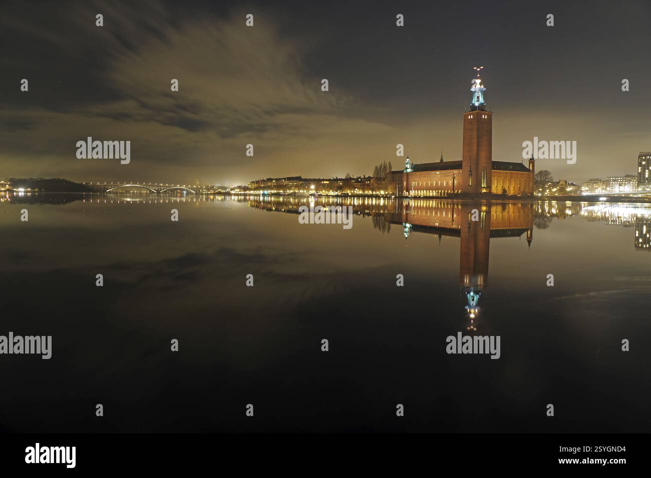 Night city view with illuminated tower and bridges in the background ...