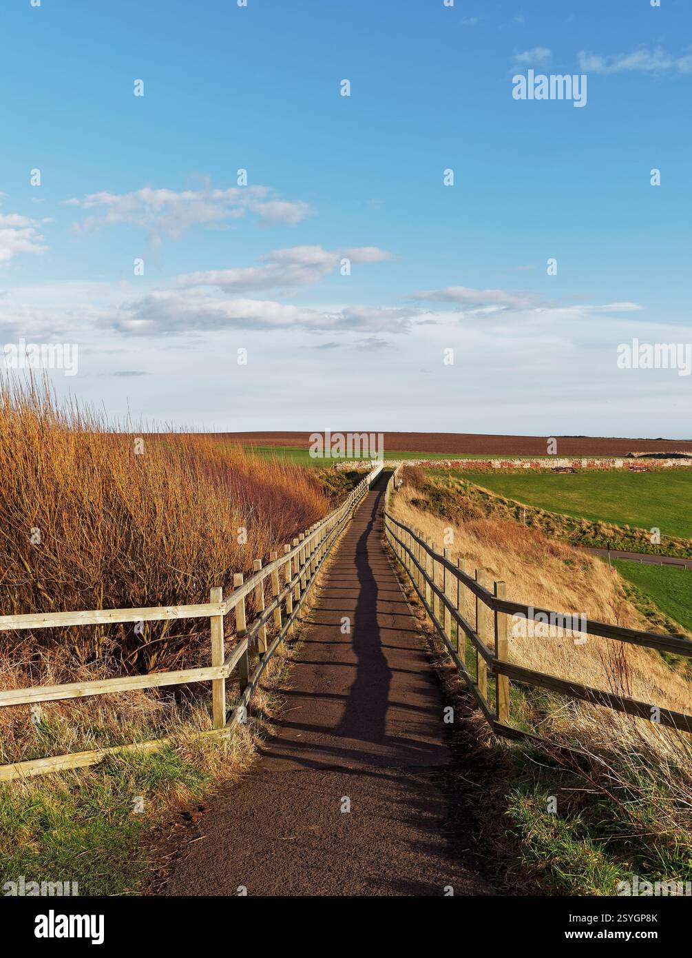The narrow footpath at the top of Victoria Park in Arbroath looking ...