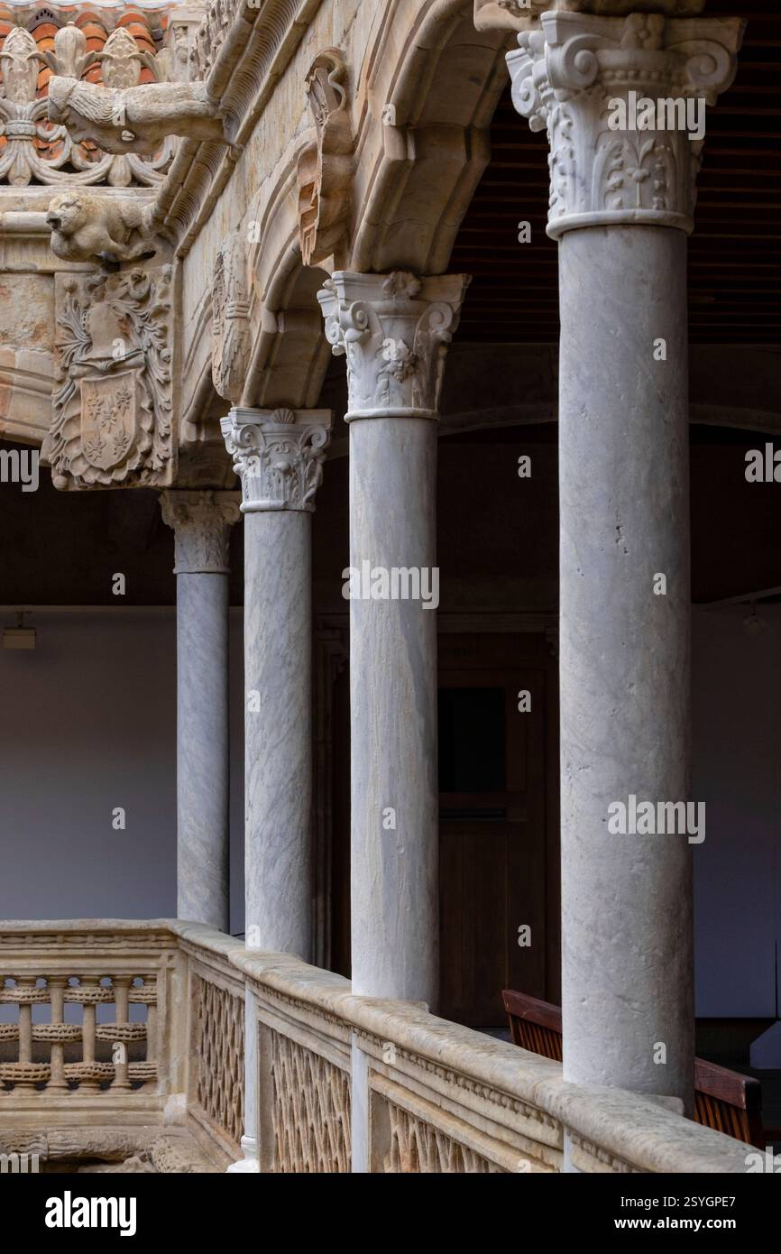 Courtyard of the House of Shells (Casa de las Conchas), Salamanca ...