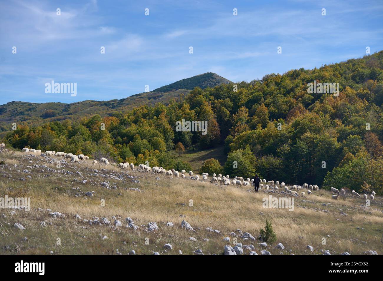 Durmitor ring hi-res stock photography and images - Alamy