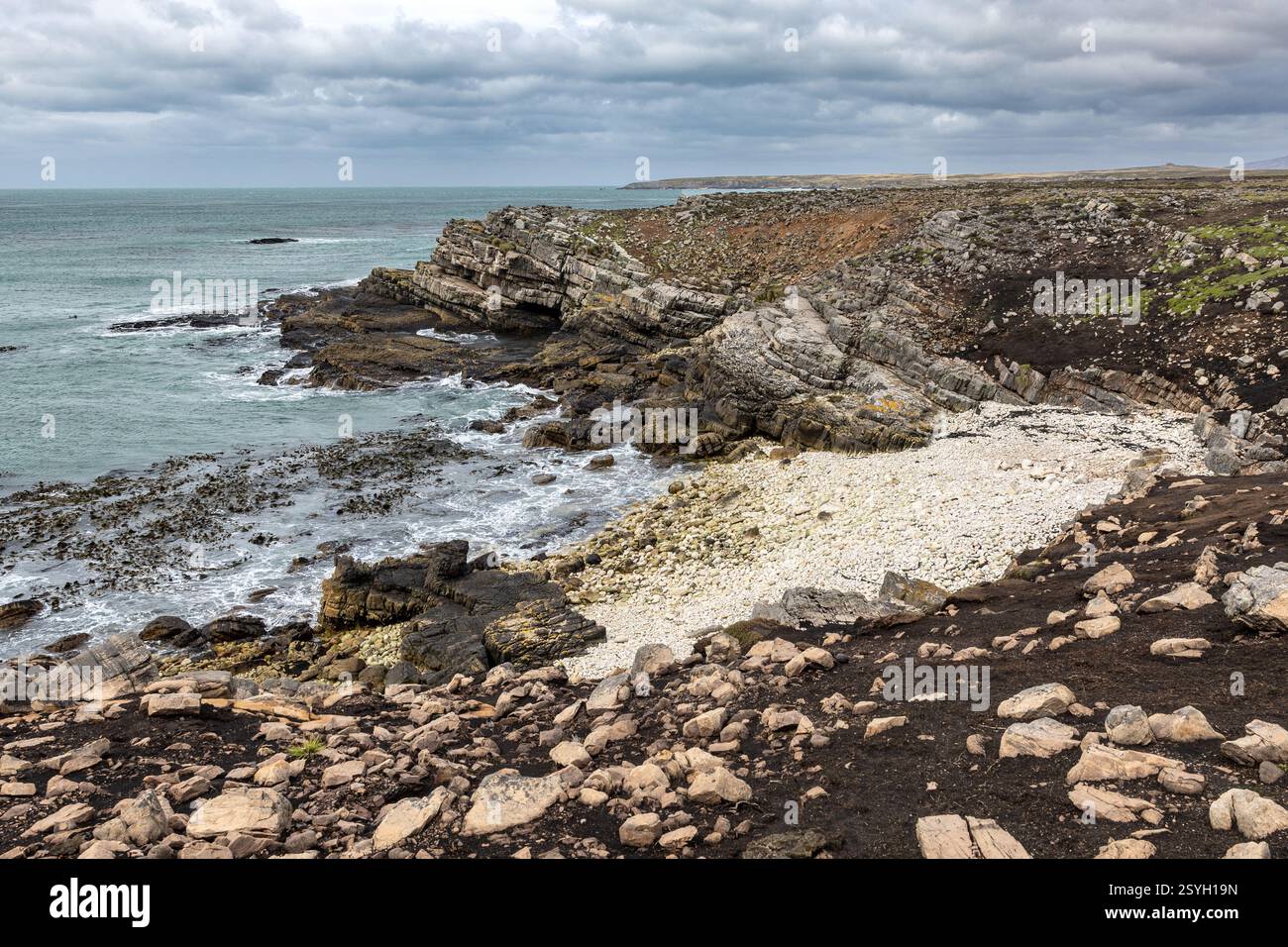 Landscape, Pebble Island, Falkland Islands Stock Photo - Alamy
