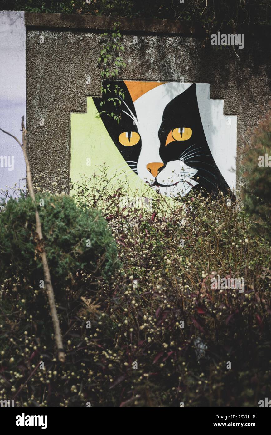 March 1st 2025 Dehradun City India. Black and white generic cat artwork ...