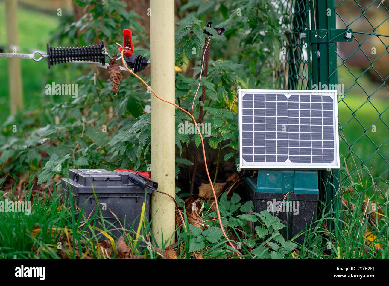 Small Solar farm, View of a small solar panel connected to a fence on a ...