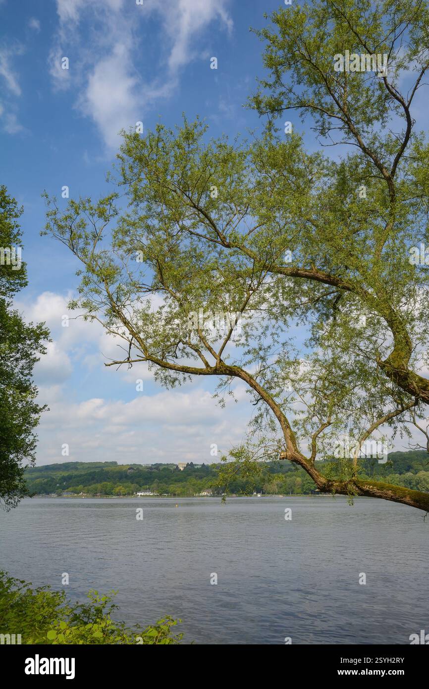 Lake Baldeneysee in Essen with view to famous Villa Hügel on Hill in ...