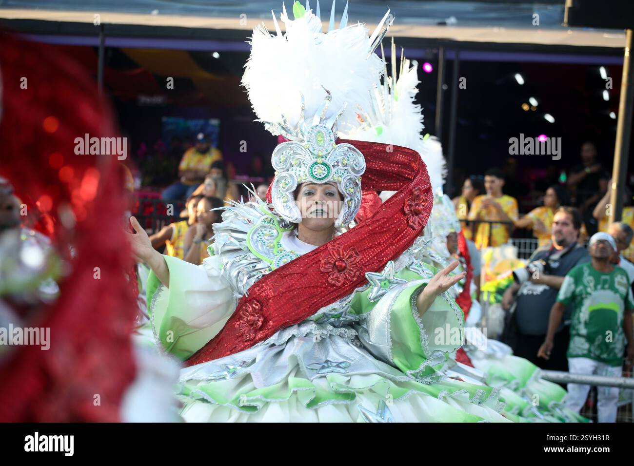SP - SAO PAULO - 02/28/2025 - SAO PAULO CARNIVAL 2025, SAMBA SCHOOL ...