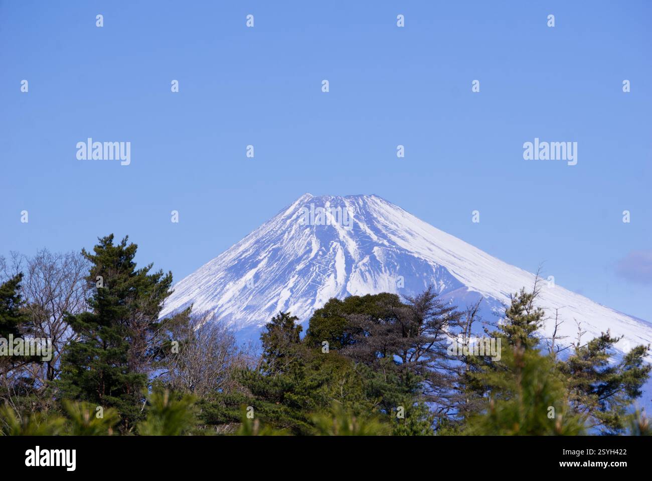 Asia fuji holiday japan landmark hi-res stock photography and images ...