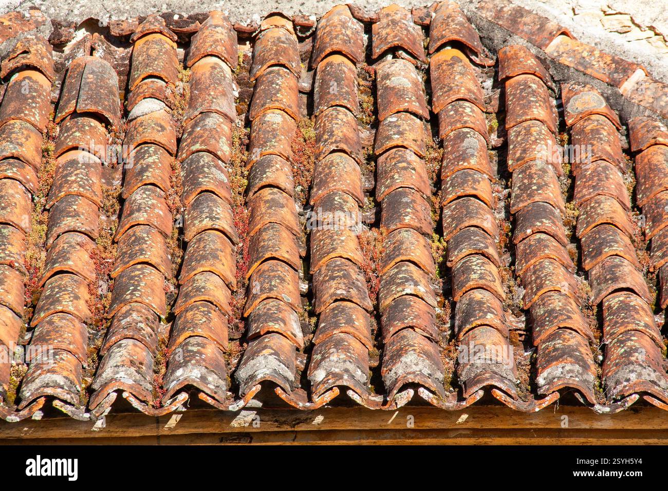 Canal tile roof hi-res stock photography and images - Alamy