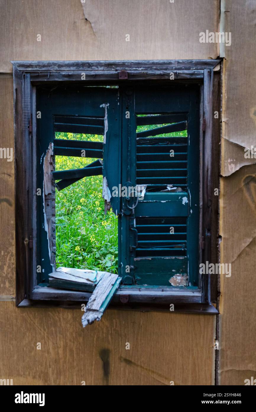 Broken Window Frame on dilapidated wooden wall of an abandoned shack ...