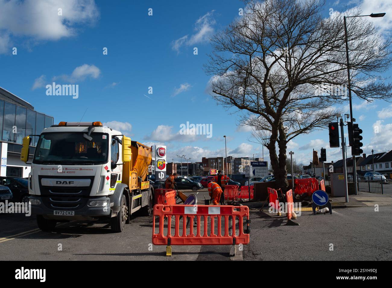 Digging around tree roots hi-res stock photography and images - Alamy
