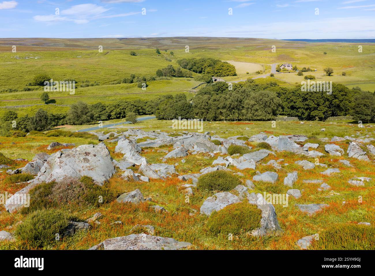 Beautiful and deserted North York Moors with flowering grasses and ...