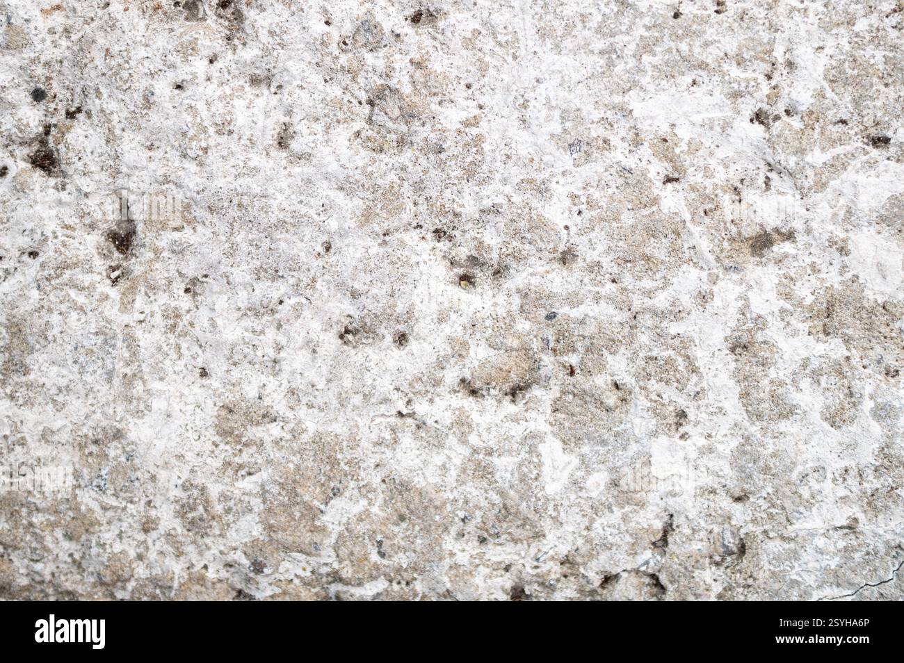 Light cracked wall. Minimalistic soft wall texture with cracked details ...