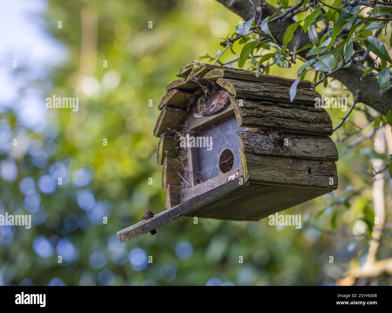 Tree branch nesting hi-res stock photography and images - Alamy
