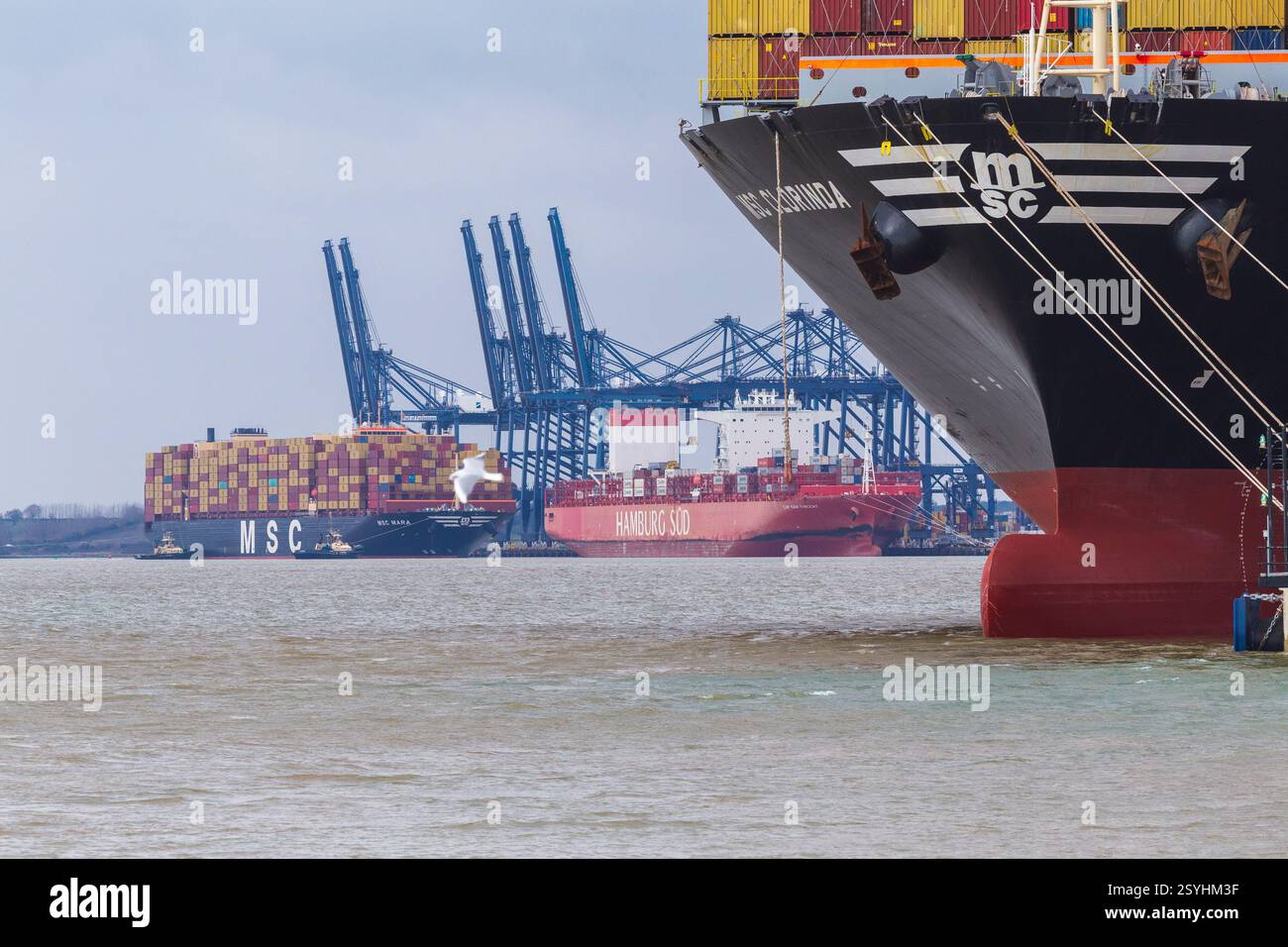 Felixstowe Port Deep Water Berths with MSC Container Ships MSC Mara and ...