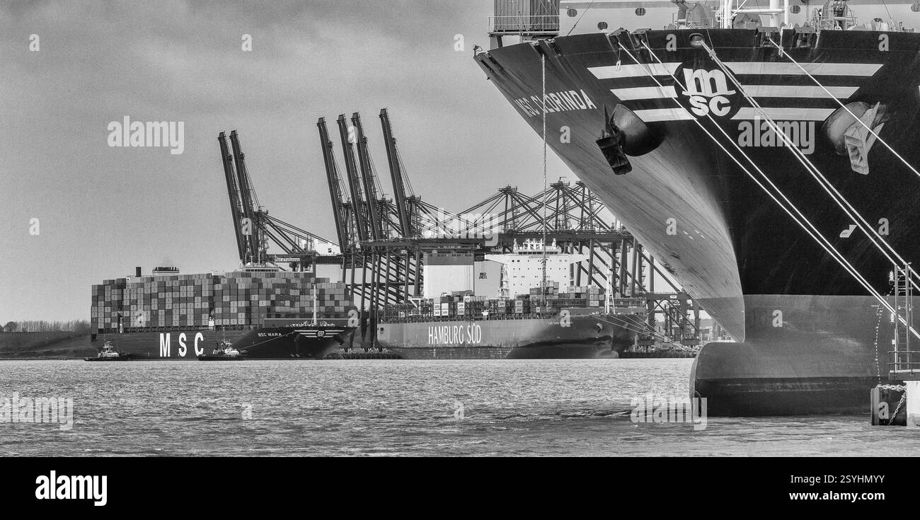 Felixstowe Port Deep Water Berths with MSC Container Ships MSC Mara and ...