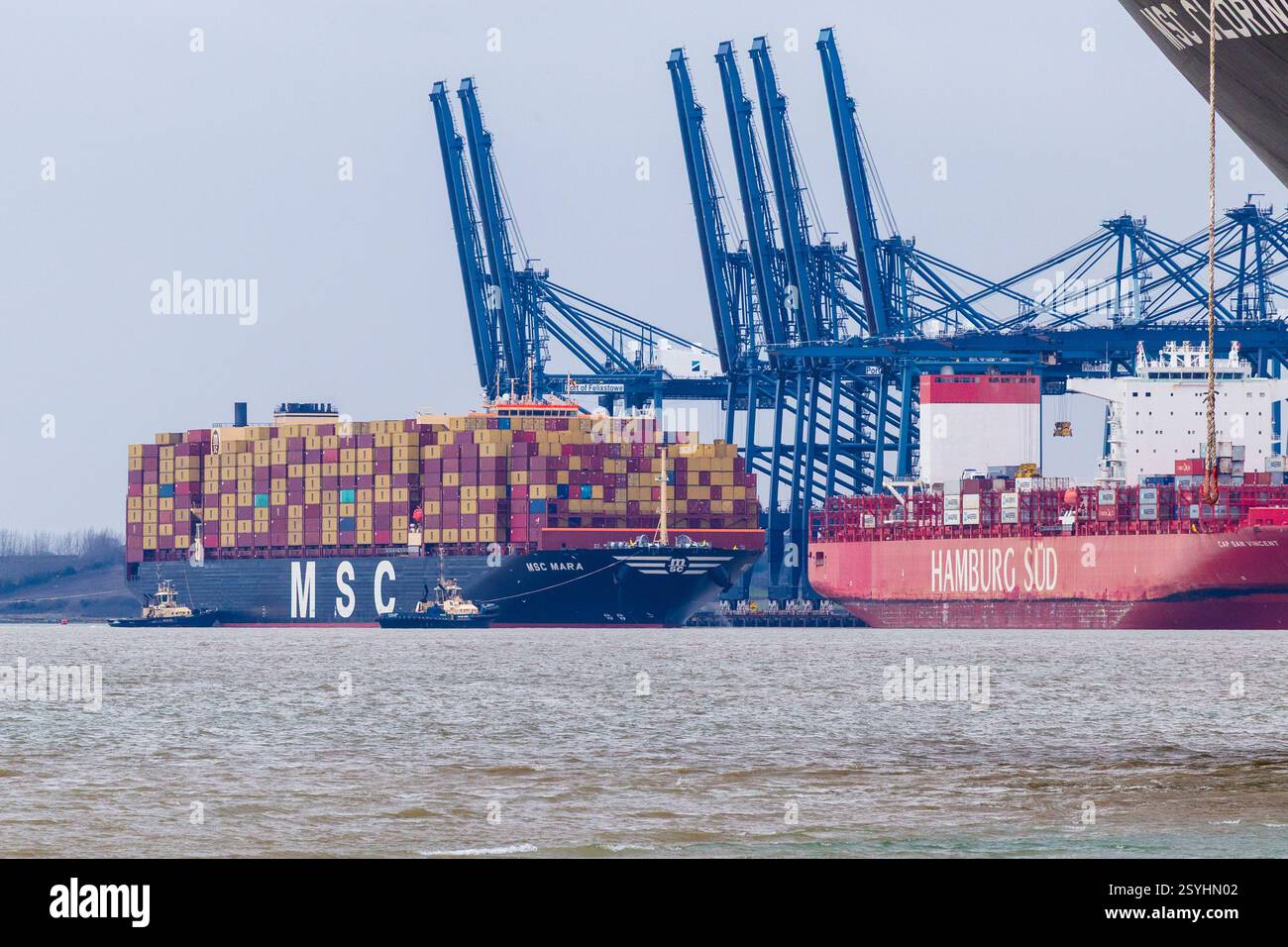 Msc mara hi-res stock photography and images - Alamy