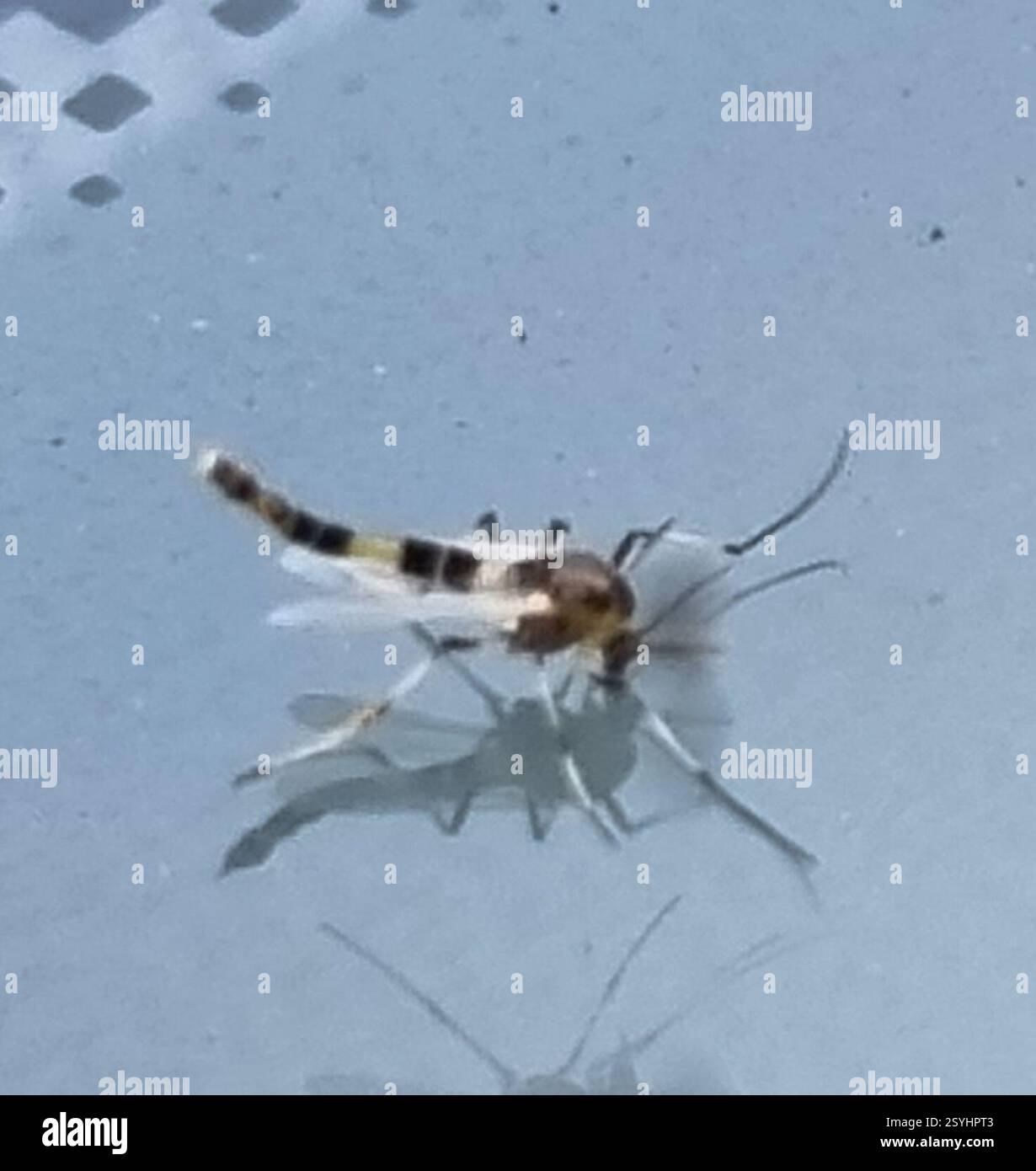 Birmingham b46 hi-res stock photography and images - Alamy