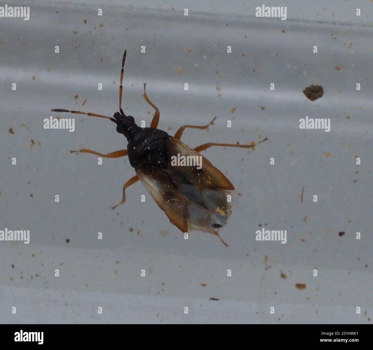 Hasle aarhus hi-res stock photography and images - Alamy