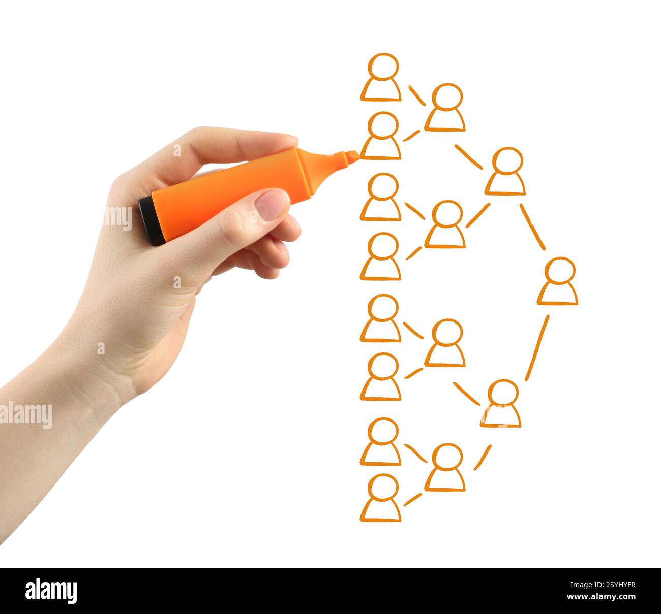 Woman drawing family tree on white background. Scheme with human ...