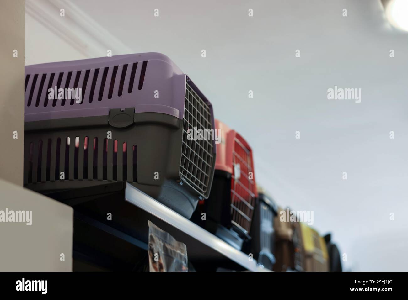 Different carriers on shelf in pet shop, low angle view. Space for text ...