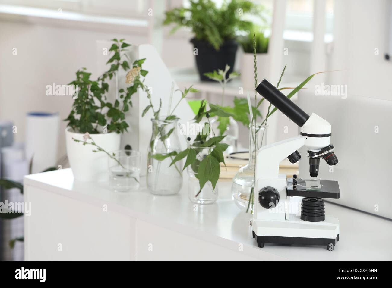 Modern microscope on table in Biology classroom, closeup Stock Photo ...