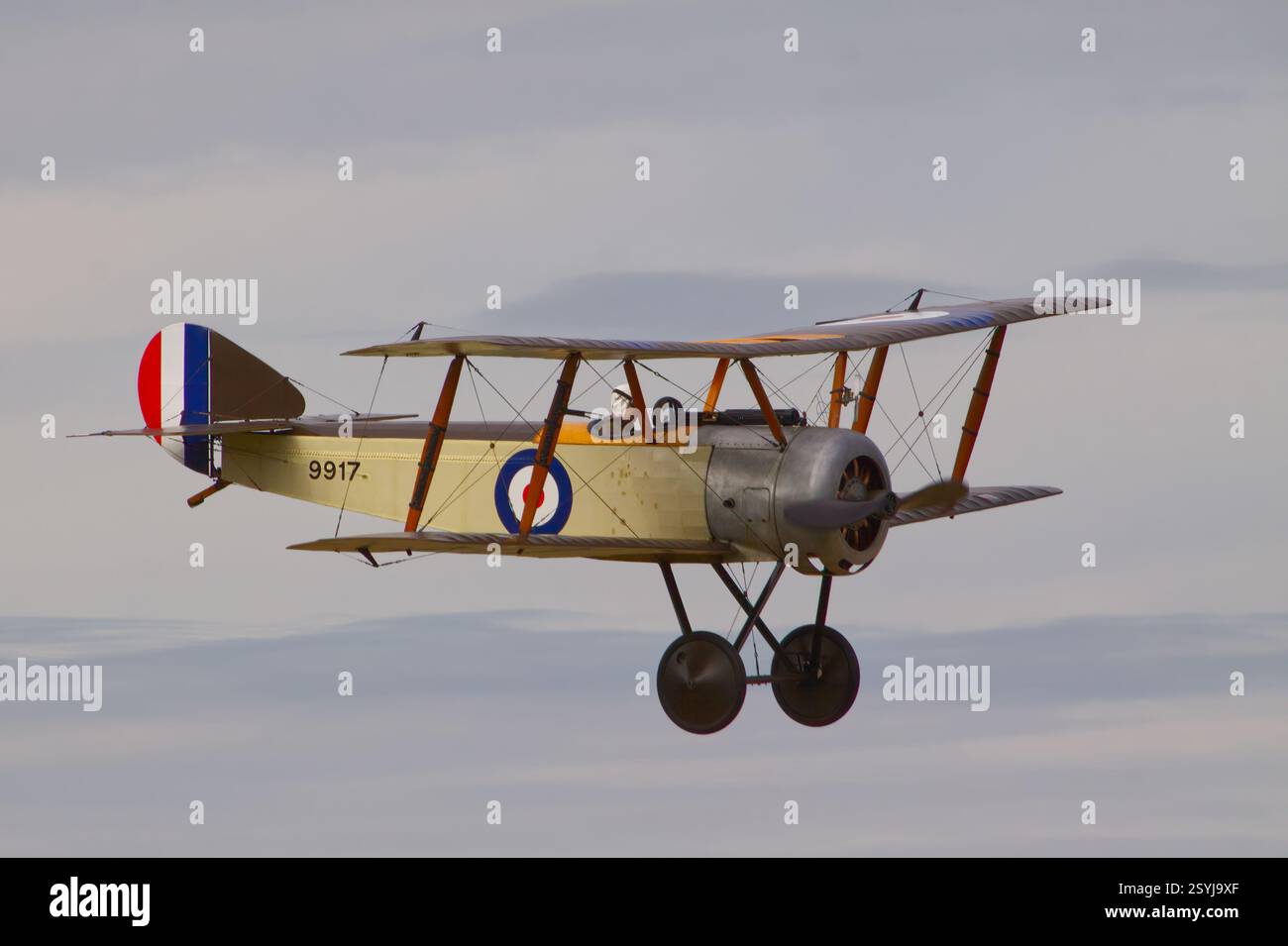 Royal Naval Air Service, Sopwith Pup, 9917, biplane fighter in flight ...