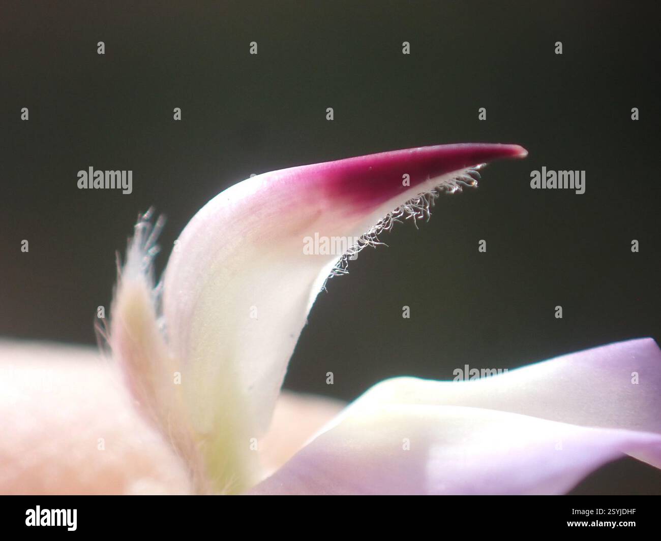 20 8 10 7 cm hi-res stock photography and images - Alamy